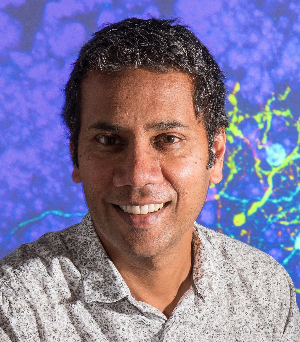 Venkatesh N. Murthy | Mind Brain Behavior